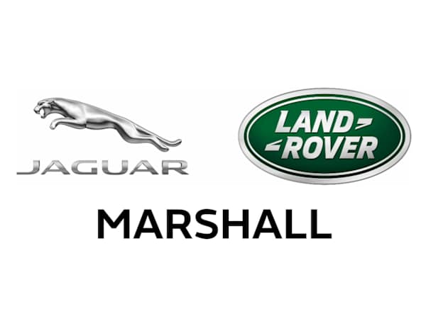 Marshall Car Logo Marshall Amp Decal/Sticker CHOOSE SIZE