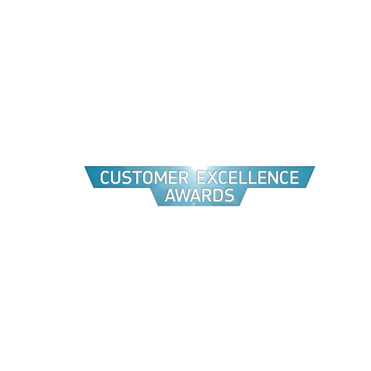 Customer Service Excellence Logo Service ExcellenceService Excellence