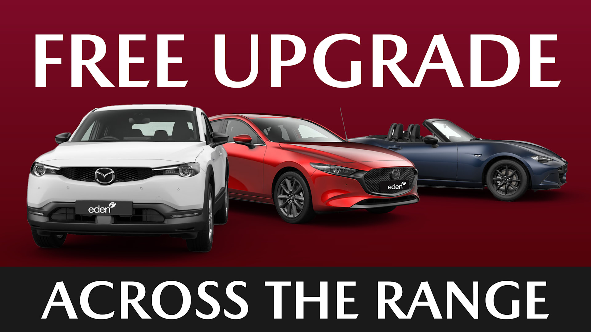 Eden Motor Group - New and Used Car Dealer | Eden Motor Group
