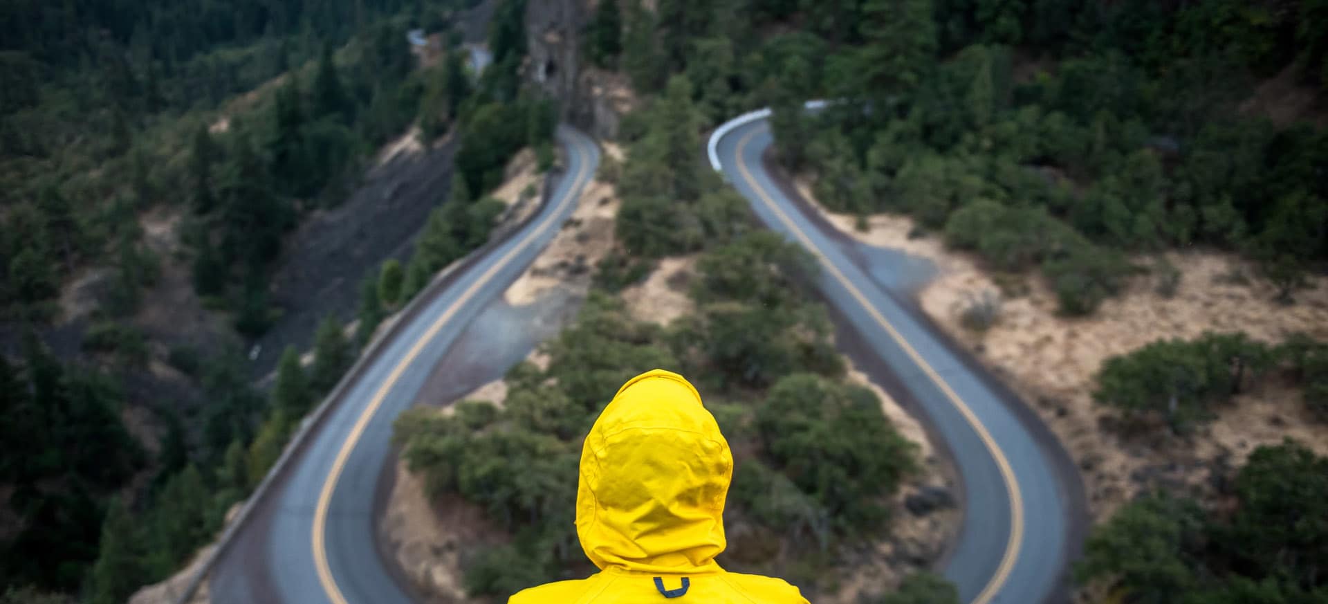 New & Used Lexus Cars in Scotland | Lexus Edinburgh, Glasgow & Dundee