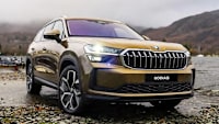 New Plug-in Hybrid Škoda Cars | Park's Škoda