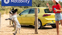 The 75 Plate: Everything You Need to Know