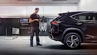 Contact Us in Dundee | Lexus Scotland