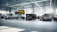 Contact Us | Brian Currie