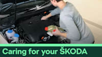 Useful Škoda Contacts | RRG Škoda | The RRG Group