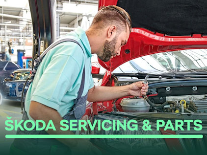 Skoda parts shop store