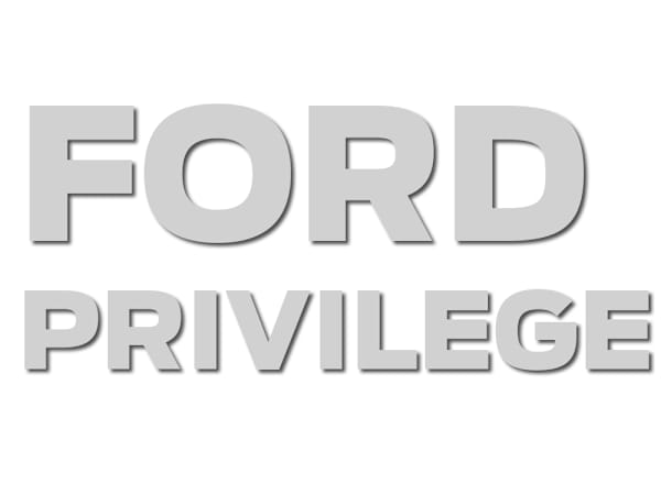 Privilege Logo